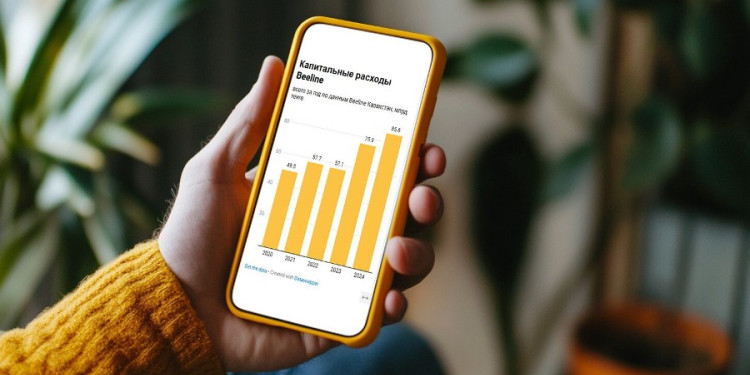 Beeline: итоги 2024 года